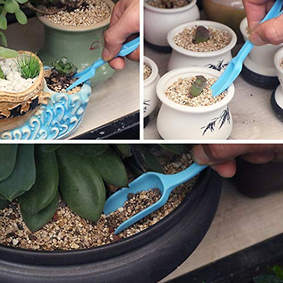 12 Pcs Bonsai Tool Set, Mini Garden Succulent Hand Tools for Indoor Miniature Fairy Care Include Tweezer, Transplanting Tools, Bucket Shovel, Cleaning Brush, Label, Elbow Drip Pot