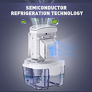 SEAVON Electric Dehumidifiers for Home, 2200 Cubic Feet (205 sq ft) Portable and Compact 16 oz Capacity Quiet Dehumidifiers for Basements, Bedroom, Bathroom, RV, Laundry Room, Closet, Auto Shut Off