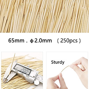 BLUE TOP Bamboo Wood Toothpicks 1000 PCS in 4 Bottles of 250, Round Sturdy Toothpick holder Double-Side Point,Toothpick Dispenser for Teeth,Food Pick Appetizers,Cocktails Fruits,Olive&DIY Craft