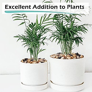 GASPRO 5lbs Rocks for Plants, Aquarium, Fish Tank, 3/4-1 1/2 Inch, Decorative Stones for Planters, Vase