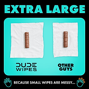 DUDE Wipes Flushable Wipes - 6 Pack, 288 Wipes - Mint Chill Extra-Large Wet Wipes with Eucalyptus & Tea Tree Oil - Septic and Sewer Safe