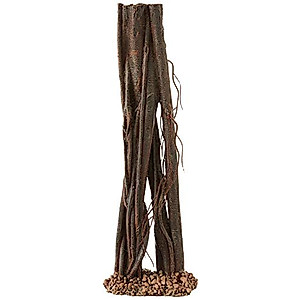 Underwater Treasures Mangrove Root - Small