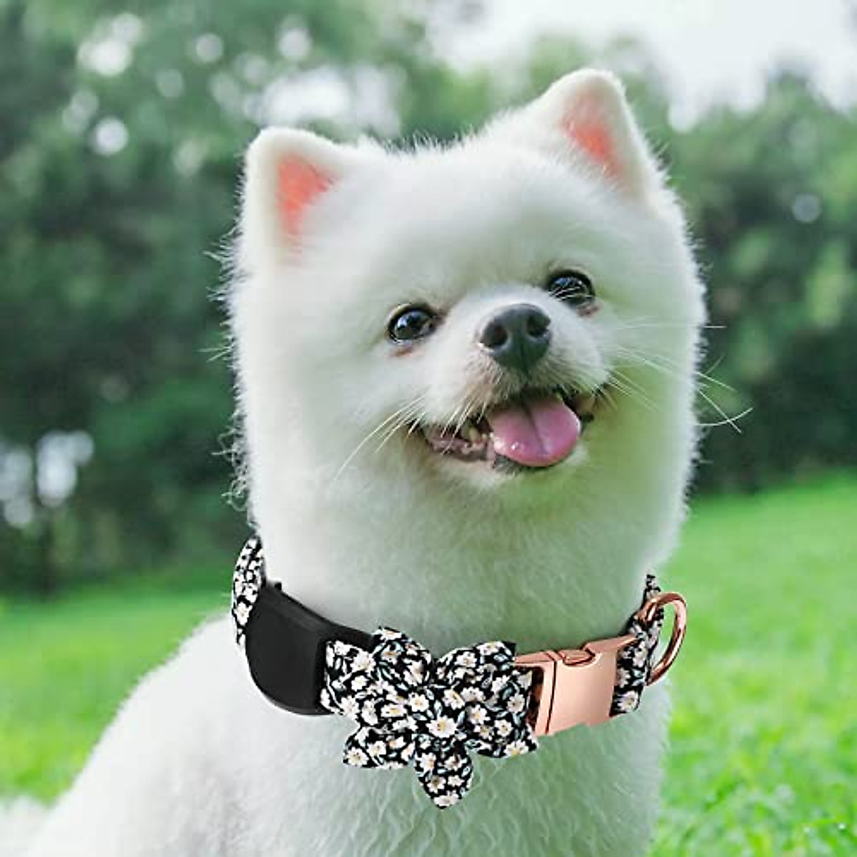 Airtag Dog Collar Holder，Anti-Lost Silicone Case Accessories for Air Tag GPS Tracking，Compatible with Dogs Cats Pets Collar (1 Pack, Black)