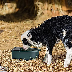 GOTOTOP Automatic Waterer Bowl, Large 4L Automatic Pet Waterer Float Valve Water Trough Livestock Drinking Bowl for Cat Sheep Dog Horse Farm Supplies