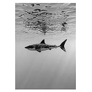 VIIRY Whale Shark Wall Art Canvas Print Poster Black and White Art Deco Painting Hand Painted Texture Canvas Living Room Bedroom Study Painting for Home Decorations(Unframed) (16x20in)