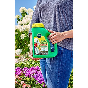 Miracle-Gro Shake 'N Feed All Purpose Plant Food, Plant Fertilizer, 4.5 lbs. (6-Pack)