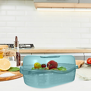 Cabilock Dish Rack Tray Dish Drying Rack and Drain Board with Lid Cover Nursing Bottle Holder Kitchen Plate Cup Dish Drying Rack Tray Cutlery Dish Drainer Blue Dish Storage