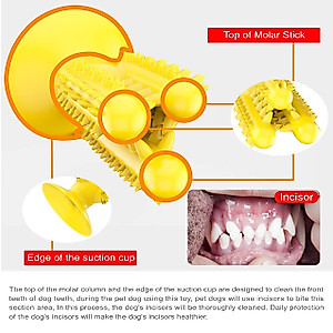 Splooty Paw Yellow Dog Toothbrush Chew Toy - Dog Toy Toothbrush Stick/Teeth Cleaning Toy for Dogs/Puppy Teething Chew Toy to Ensure Their Oral Health and Dental Hygiene