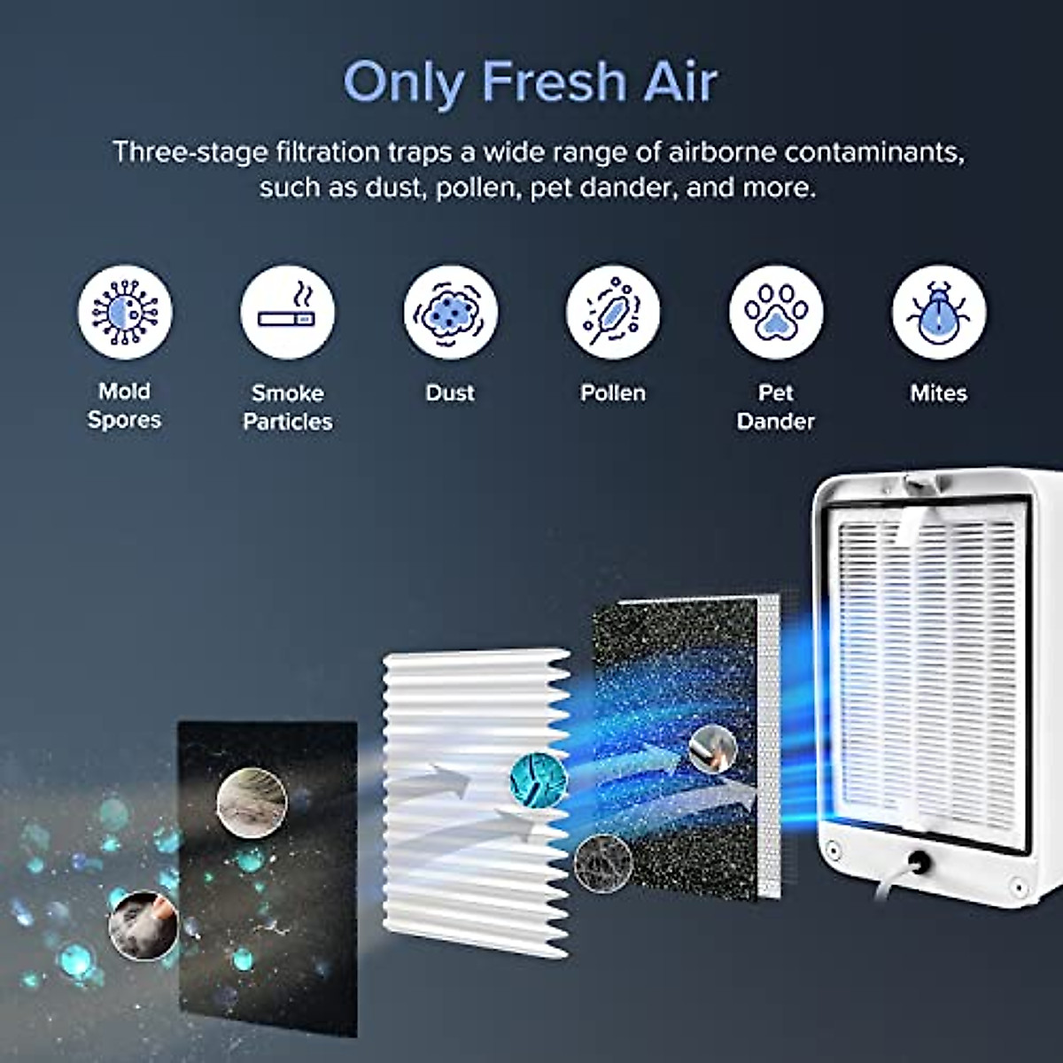 LEVOIT Air Purifiers for Bedroom Home, Blue & Air Purifiers for Bedroom Home, HEPA Filter Cleaner, White