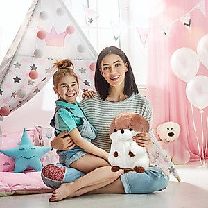 AEECASI Cute Otter Stuffed Animal Plush Doll, Otter Plushie Christmas Birthday Soft Toy Gifts for Kids, Sea Otter Cuddle Pillow Home Decor, 11.8"