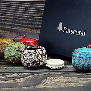 patscorai Small Urns for Human Ashes, Set of 5 Decorative Cremation Keepsakes Made of Ceramic, Mini Urns for Adult Ashe, Personal Funeral for Pet or Human Ashes(Set of 5)