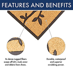 NoTrax, Bird on Branch, Rubber-Backed Natural Coir Doormat, Entry Mat for Indoor or Outdoor Use, 18"x30", C04 (C04S1830BC)