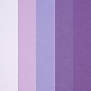 50 Sheets 8.5” x 11” Purple Passion Cardstock Paper by Recollections - Acid and Lignin Free Paper for Scrapbooks, Arts & Crafts - 1 Pack