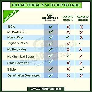 Gilead Herbals Moringa Seeds - 1000+ Seeds Approx.- Wingless Seeds - PKM1 Variety - 8 Oz - Snacking - Planting - Moringa Oleifera Seeds - Malunggay - Semillas De Moringa - Drumstick - Non-GMO