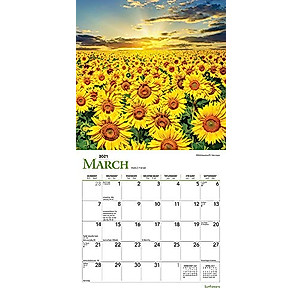Sunflowers 2021 Calendar
