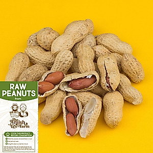 THE AMISH ECO-FARM | Fancy Size | Bulk Raw Peanuts in Shell, Virginia Grown | Unsalted Peanuts | Boiled Peanuts | Squirrels and Birds Feed. (2 lb Bag)