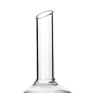 StonyLab Borosilicate Glass Buchner Filtering Funnel with Medium Frit (G2), 76mm Inner-Diameter, 80mm Depth (250ml)