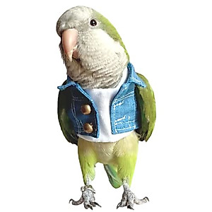 Bird Costume Bird Diaper Flight Suit Bird Jeans Fake Two Pieces Bird Clothes Cosplay Photo Prop for Parrots Lovebird Parakeet Cockatiel Small Animals Apparel (Without Diaper,Cockatiel)