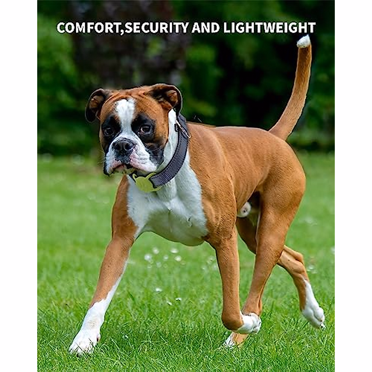 Dynmeow 1 Pack Airtag Dog Collar Holder, Stretchy Silicone Airtag Holder for Dog and Cat Collar, Anti-Lost Dog Airtag Holder Compatible with 3/4 and 1 inch Wide Collar (Purple)