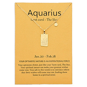 TGOLM 14k Gold Plated Aquarius Necklace Star Tarot Card Constellation Jewelry Birthday Gift for Women