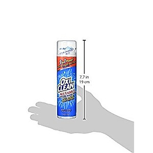 OxiClean Max Force Gel Stain Remover Stick, 6.2 Ounce (Pack of 2)