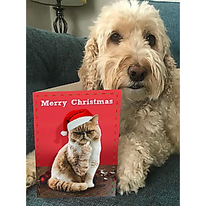 Brainbox Candy - Rude Christmas Card - 'Merry Christmas Cat Finger' - Cheeky Xmas Cards - Funny Seasonal Humour Cards - Rude Cat Themed Christmas Card - Cheeky Cat Xmas Card - For Cat Lovers