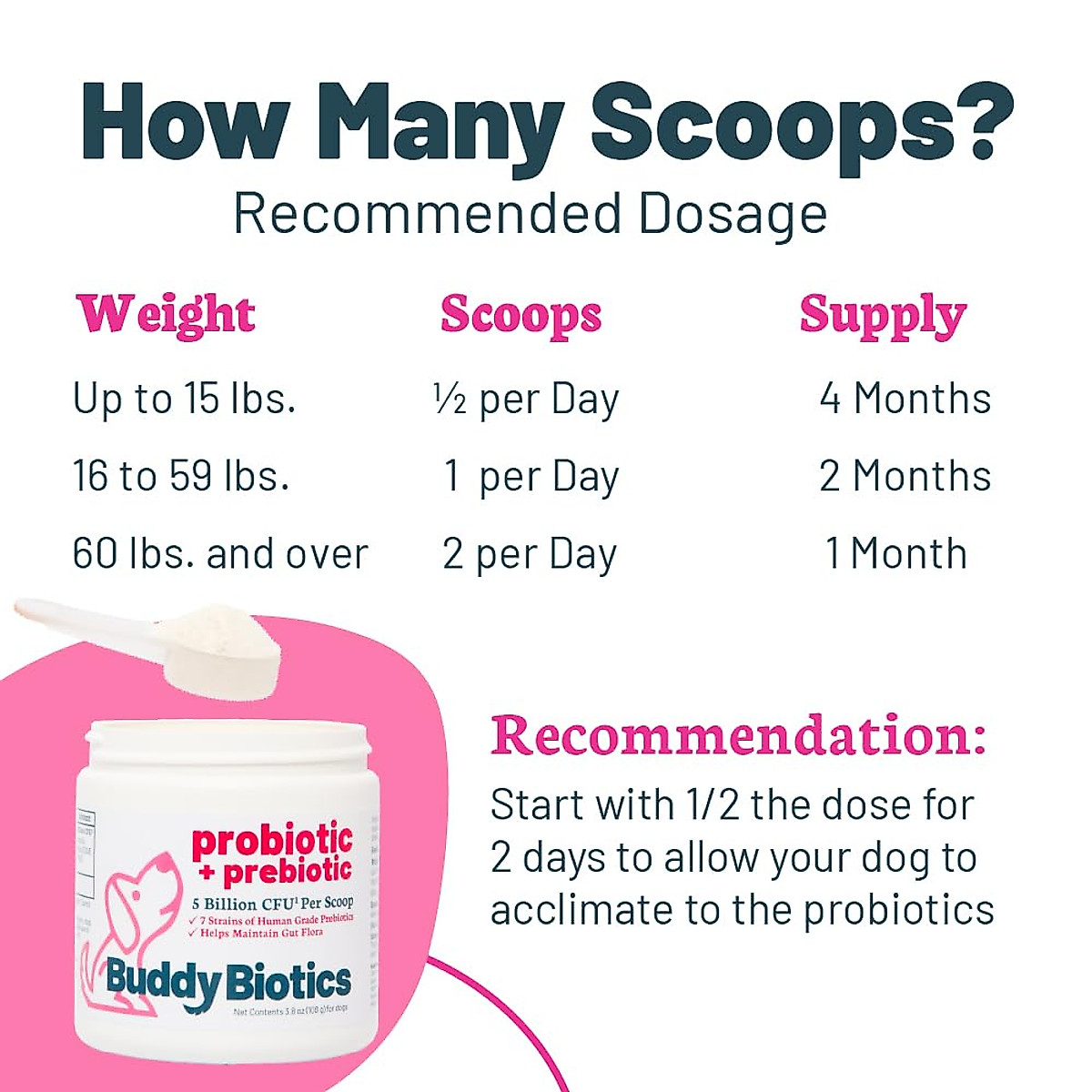 Buddy Biotics Probiotic + Prebiotic for Dogs- Gut Flora Health, Digestive and Immune Health, Diarrhea and Bowel Support – 5 Billion CFU per Scoop