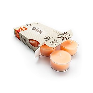 Autumn Splendor Premium Tealight Candles - Highly Scented with Essential Oils - 6 Orange Tea Lights - Beautiful Candlelight - Made in The USA - Christmas & Holiday Collection