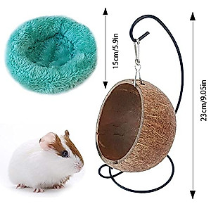 DIEWU Coconut Hanging Birdhouse Cage for Hamster Bird Parrot Parakeet Lovebird Finch Canary Pets Nest(Mat)