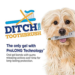 Vetality Brush Free Oral Gel for Dogs | Vet Formulated Dental Care with ProLong Technology | Cleans Teeth and Gums