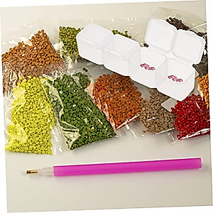 ADOCARN 20pcs Boxes 4 D Beads Sorting Picture Bead Art Glitter and Nail Organizer Diamonds Dot Crafts Case Mini Tools Diamond White Embroidery Plastic for Tool Container Transparent