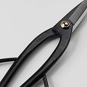 Wazakura Japanese Bonsai Pruning Scissors Tool Set, Made in Japan Trimming Japanese Shears 2PCS Starter Kit Pack - Ashinaga + Traditional Bonsai Scissors