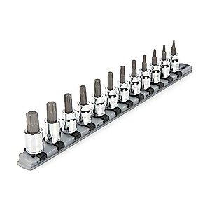 TEKTON 3/8 Inch Drive Torx Bit Socket Set, 12-Piece (T10-T60) | SHB91103