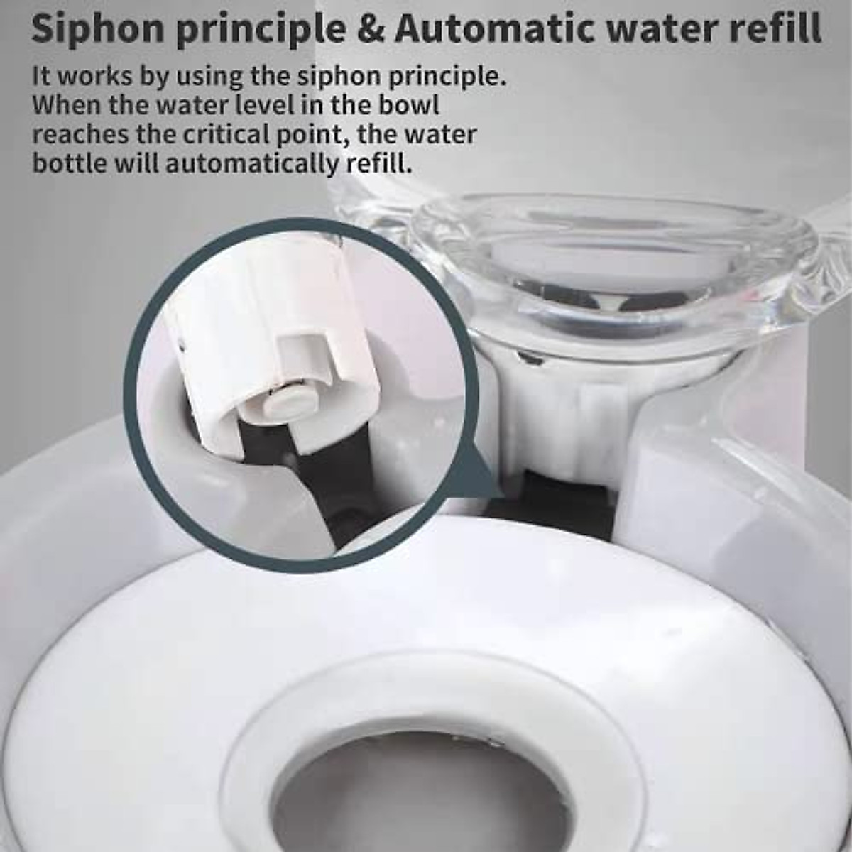 Fhiny Dog Cat Double Bowls, Bunny Automatic Water Bottle Set Dispenser Detachable Stainless Steel Bowls for Small Animals Cats Kitten Puppy Squirrel