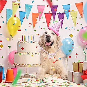 24 Pieces Blank Acrylic Dog Tag Bone-Shaped Acrylic Dog ID Tags with 24 Pieces Key Chain Rings for DIY Dogs and Cats Pet Name Number Tags Crafts Decorations, 1.49 x 1 Inch