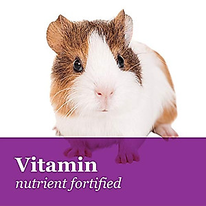 F.M. Brown's Tropical Carnival Gourmet Guinea Pig Food with Alfalfa and Timothy Hay Pellets - Vitamin-Nutrient Fortified Daily Diet - 5lb