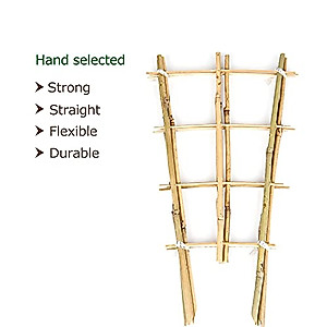 Cambaverd 3 Pack Min Bamboo Trellis 16 in Fan -Shaped Plant Support Trellis with Twist Ties for Indoor Mini Climbing Plants Hoya Potted Plants House Plants Vine Ivy