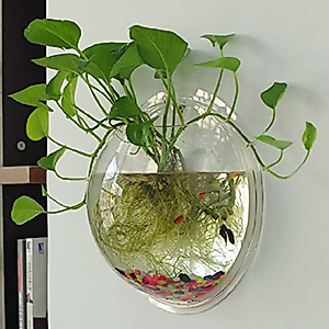 Mipcase Wall Fish Bowl, Hanging Fish Bowl Wall Mounted Fish Tank Wall Fish Tank Wall Fish Bubble