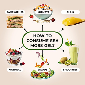 TrueSeaMoss Wildcrafted Irish Sea Moss Gel - Made with Dried Seaweed & Fresh Sea Vegetables, Seamoss - Made in USA (Blue Spirulina and Raspberry, Pack of 1)