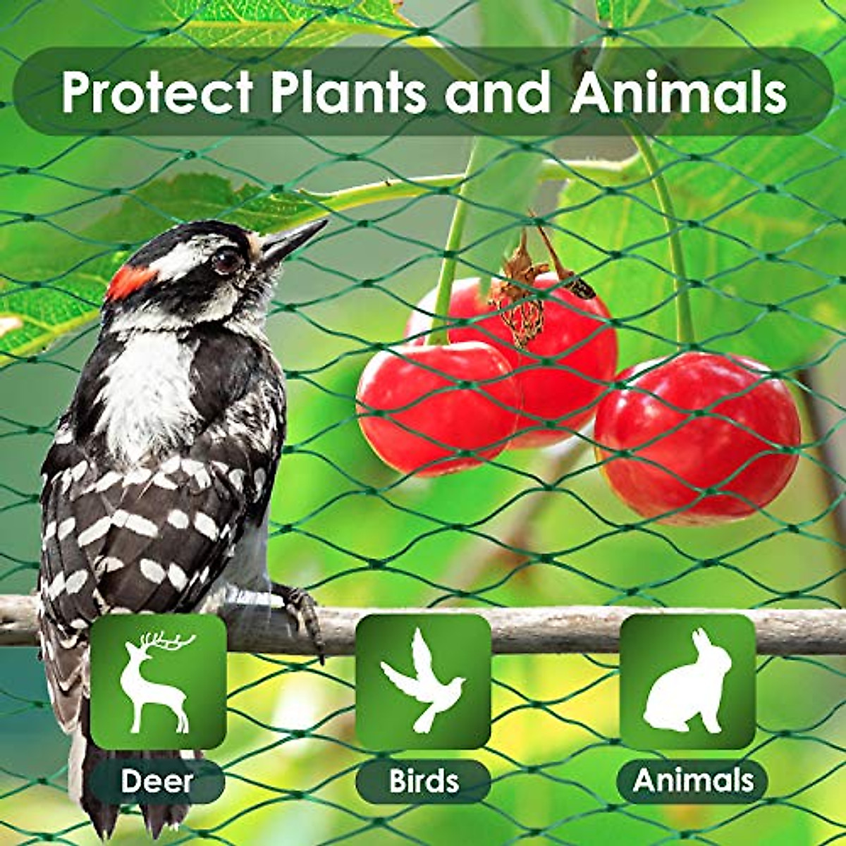 Ruolan Bird Netting for Garden Protect Vegetable Plants and Fruit Trees,Plastic Trellis Netting for Birds, Deer,Squirrels and Other Animals