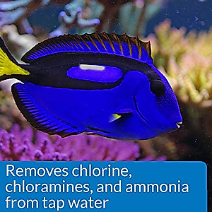 API MARINE STRESS COAT Saltwater Aquarium Water Conditioner 16-Ounce Bottle (385D)