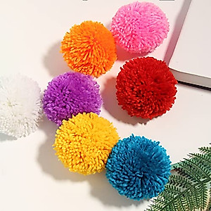 20 Pcs Large Yarn Pom Poms-2 Inch Made to Order Acrylic Yarn Balls for Hats Or Party Decorations-DIY Craft Pompoms (Mixed, 2ich)