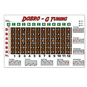 Dobro G Tuning Resonator Guitar Fretboard Note & Rolls Chart - Beginners & Intermediate Instructional Easy Poster Chords 11x17 | A New Song Music