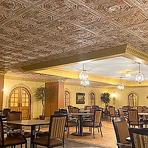 From Plain To Beautiful In Hours DCT04 Elizabethan Shield PVC 2' x 2' Lay-in or Glue-up Ceiling Tile (Covers / 40 sq.ft), Antique White, 10 Piece