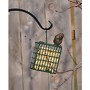 C&S Fruit n' Nut Treat