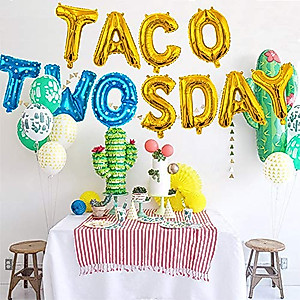 Boy Taco Twosday Birthday Party Decorations, Taco Twosday Balloons Cactus Fiesta Themed Banner for Taco 2sday Birthday Taco 2nd Birthday Party Supplies 14PCS Kit of Qinsly (Blue, Taco 2sDay)