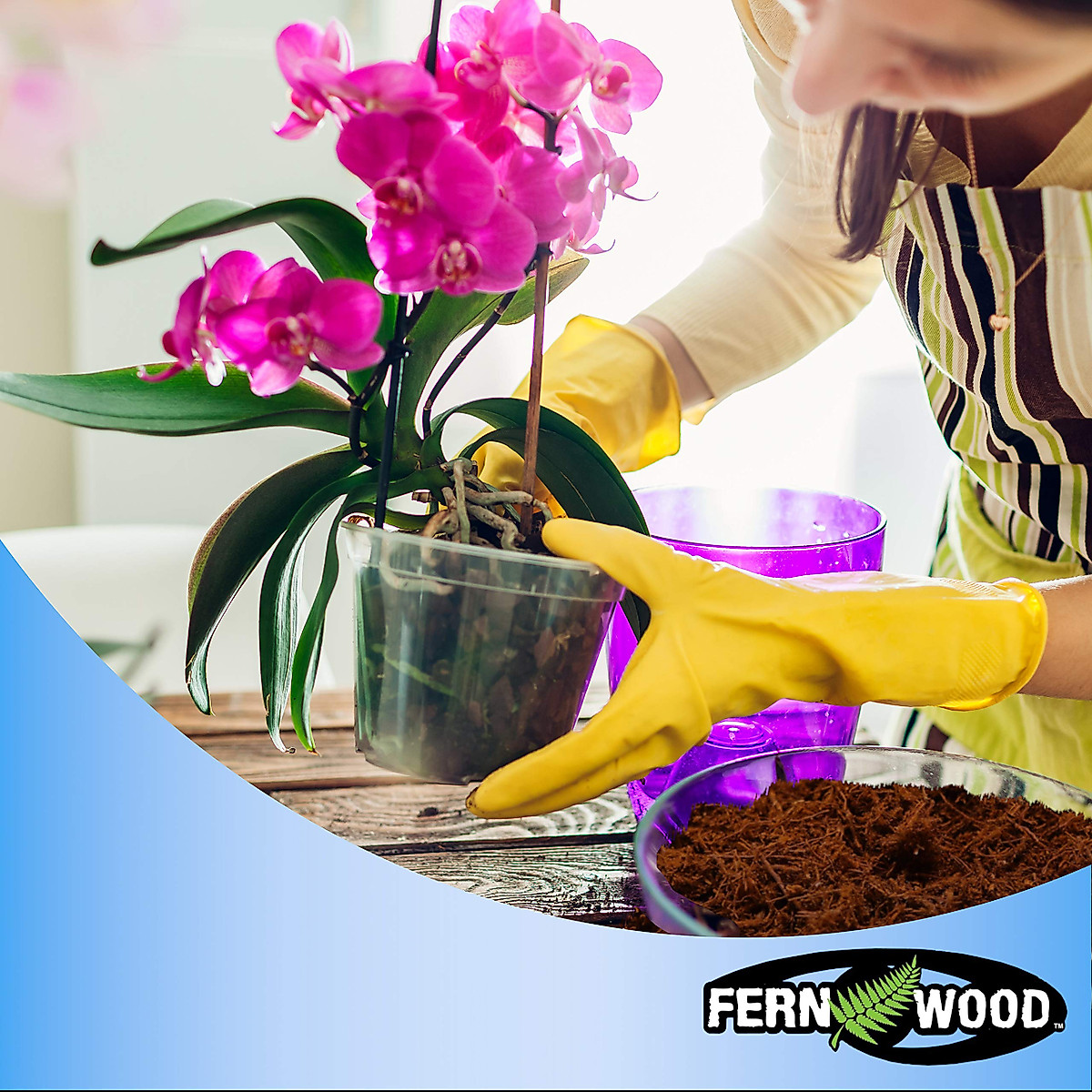 Fernwood Orchid Growing Medium and Reptile Substrate- Natural, Organic, Long Lasting | for Orchids and Other Epiphytes | Use in Terrariums and Vivariums | 10 Liters (9.1 U.S. Quarts)