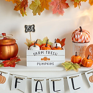 Thanksgiving Decor, Fall Tiered Tray Decor, Fall Pumpkin Mini Wood Crate Decorations Set, Farmhouse Table Centerpiece Decor Kit for Fall Decor