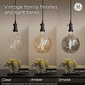GE Vintage Style LED Light Bulbs, 60 Watt, Amber Finish, ST19 Edison Style Bulbs (6 Pack)