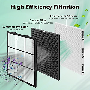 SAKEGDY 116130 Replacement Filter H fit for Winix 5500-2 Air Cleaner Purifier and Winix AM80, Package Contain 1 Washable Pre-Filter+2 HEPA Filter+2 Activated Carbon Filter Combo Pack